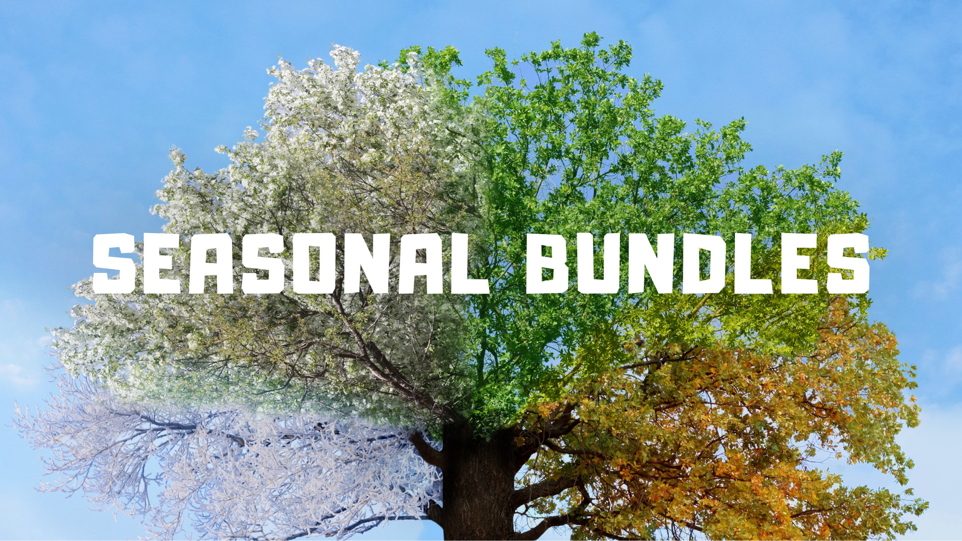 Seasonal Bundles – Wonder Soil